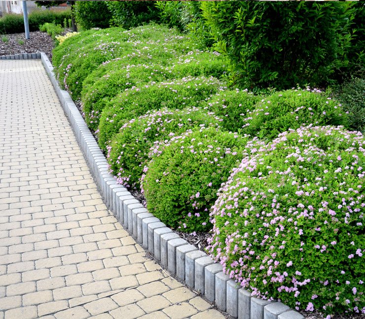 Kerbstones – Shri Maharaja Building Industries